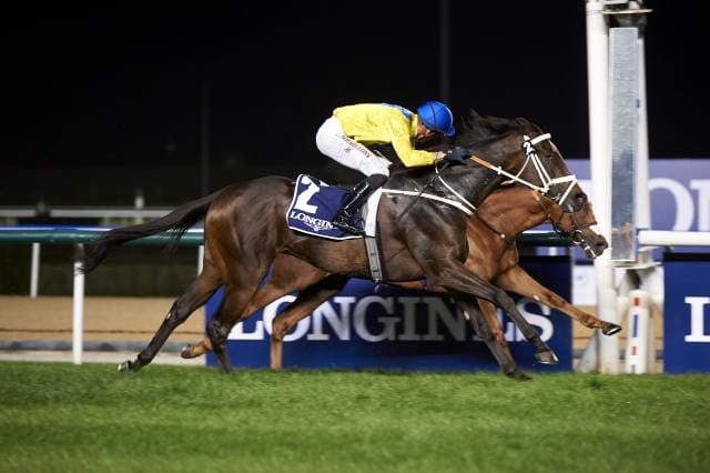 SAF-Breds Racing At Meydan 18 January 2018 - Thoroughbred Breeders ...