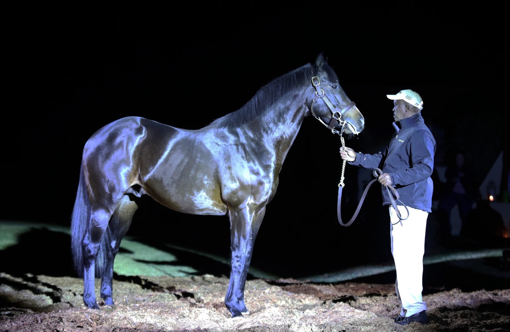 More Feature Success For Querari - Thoroughbred Breeders Association of ...