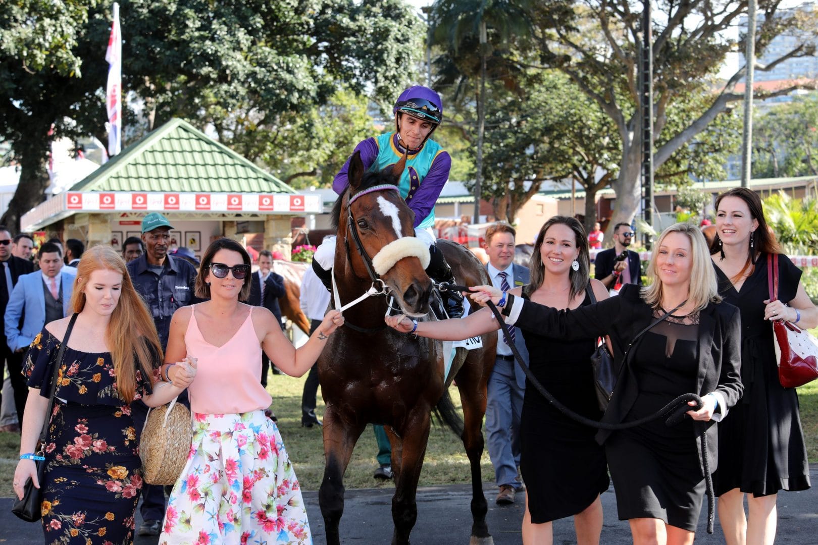 Head Honcho Shows Whose Boss - Thoroughbred Breeders Association of ...