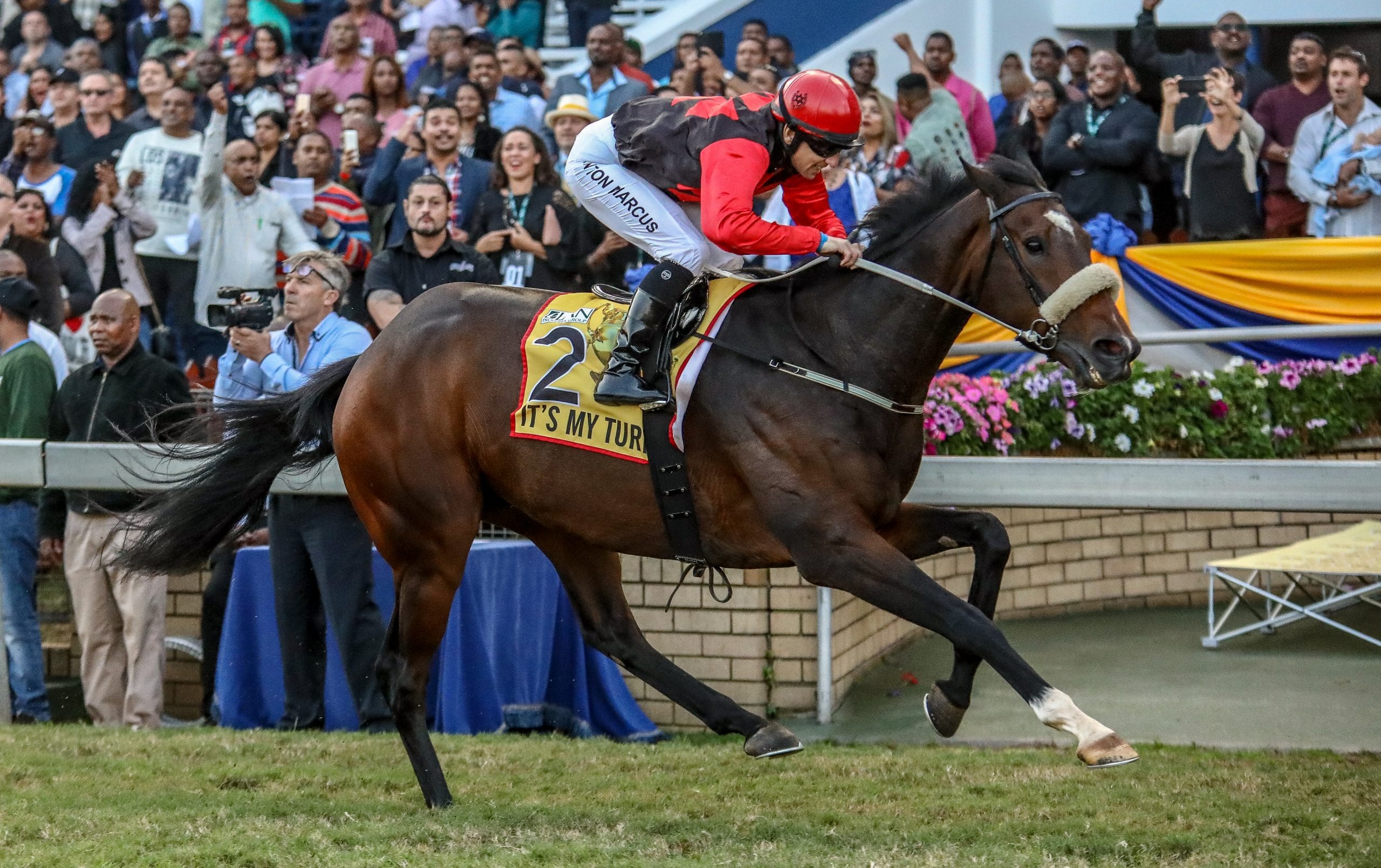 Gold Cup! - Thoroughbred Breeders Association of South Africa