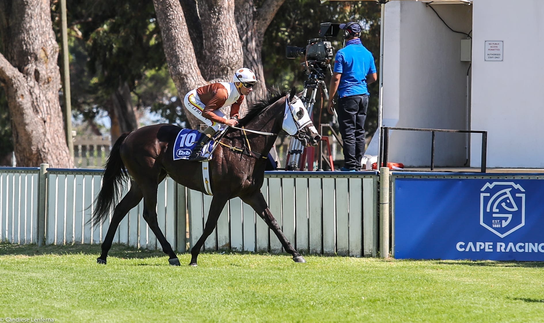 Champion Mare Retires, Off To Stud In USA - Thoroughbred Breeders ...