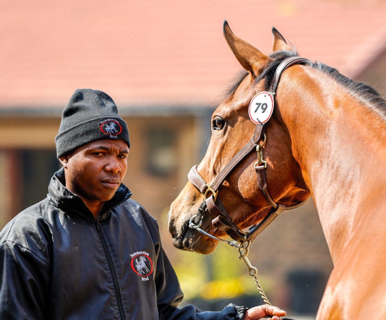 SUMMERVIEW STUD OFFER THREE SMASHERS AT NATIONAL SALE - Thoroughbred ...