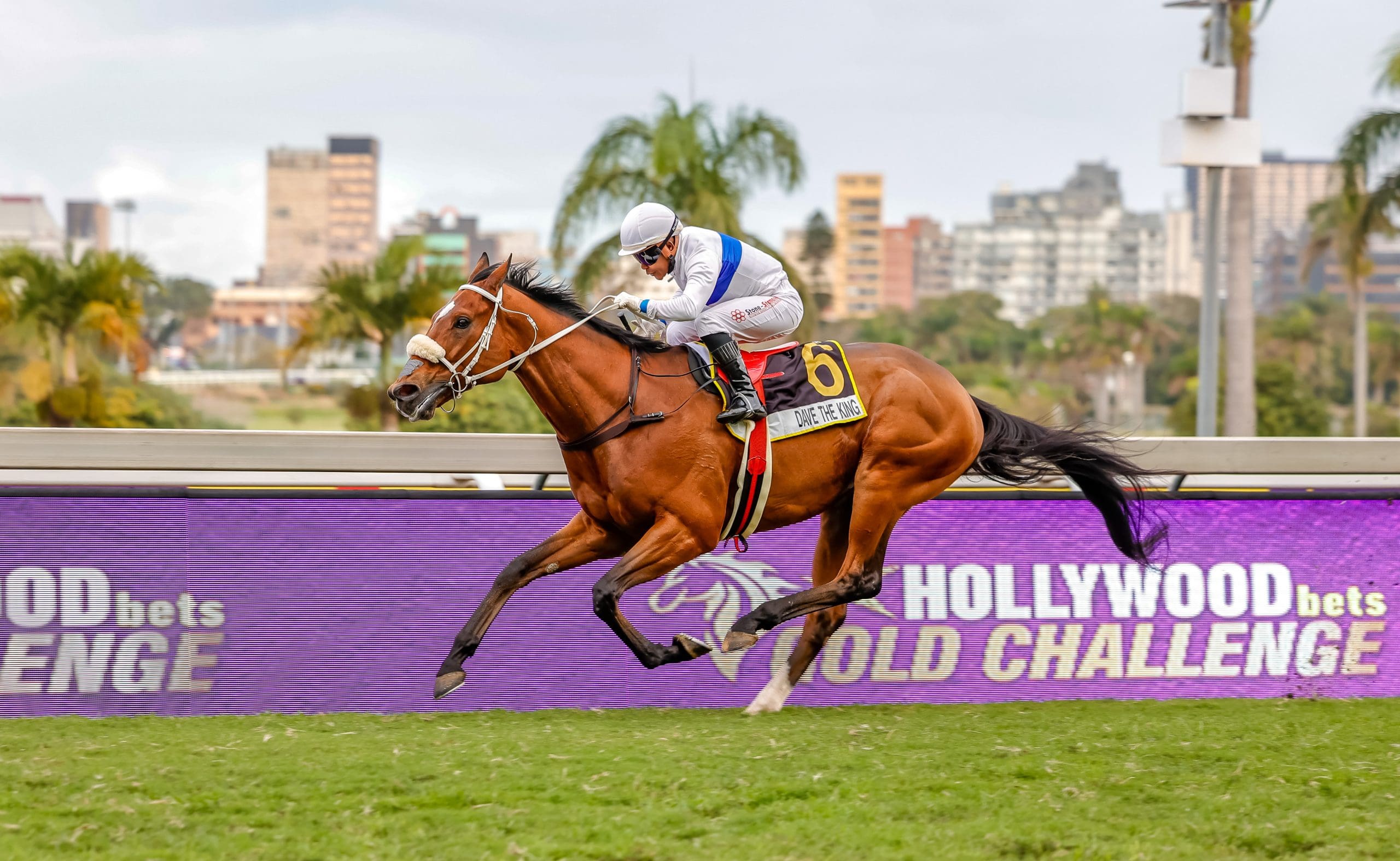 Gary Player Graded Stakes Winning Double On Weekend - Thoroughbred ...