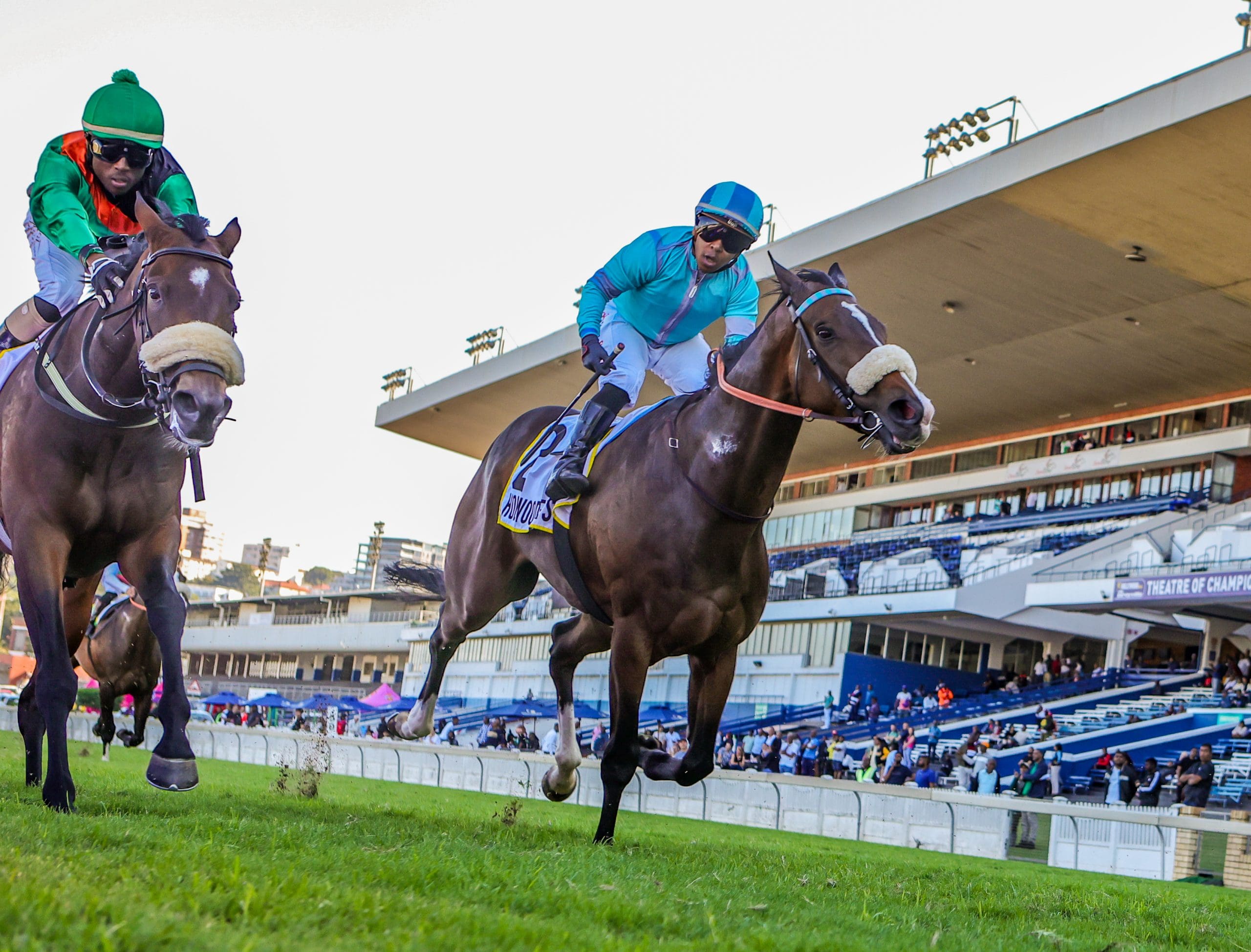 Four Winners For Vercingetorix On Derby Day - Thoroughbred Breeders ...