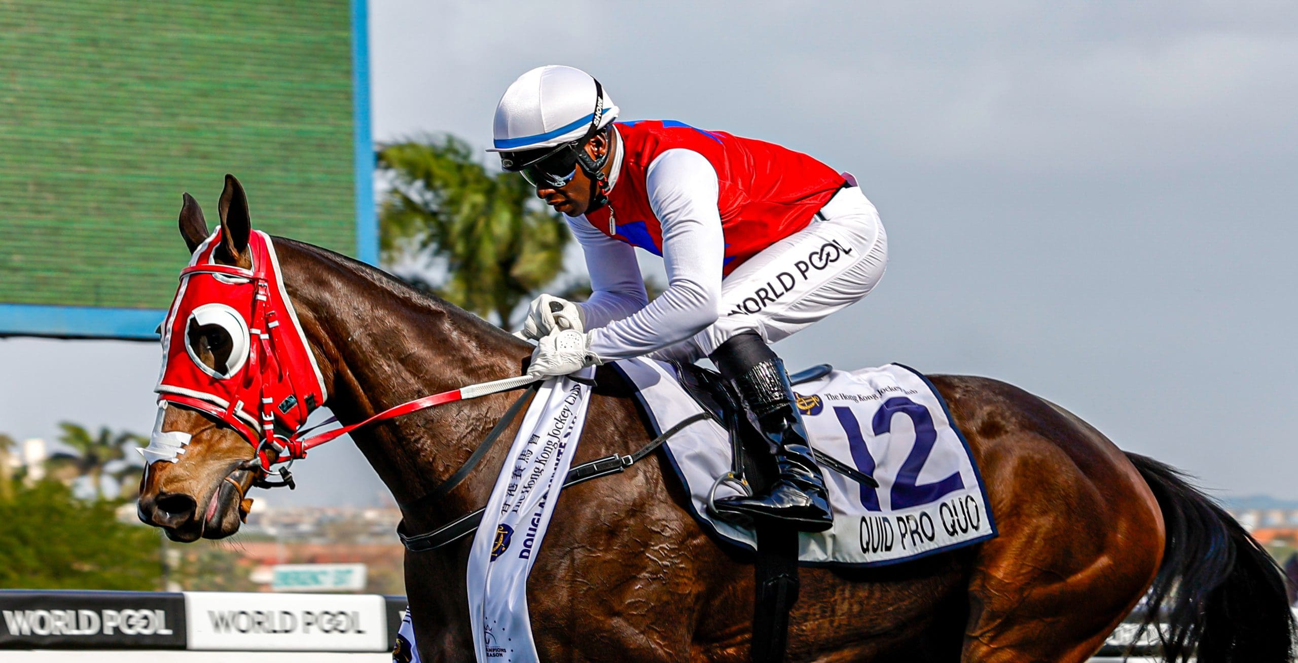 Quid Pro Quo Sets KZN Champions Season Record - Thoroughbred Breeders ...