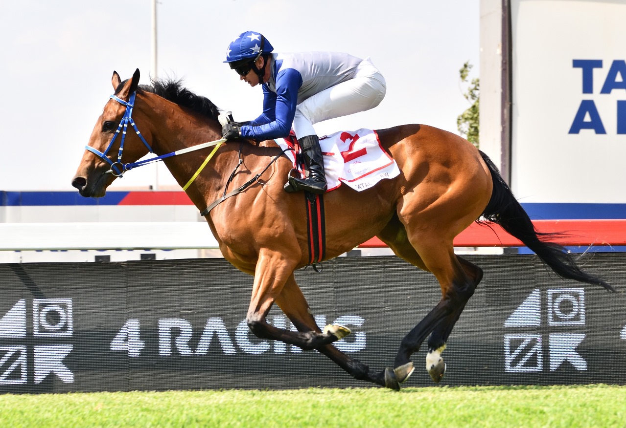 FEATURE RACE TREBLE FOR BLOODSTOCK SOUTH AFRICA - Thoroughbred Breeders ...