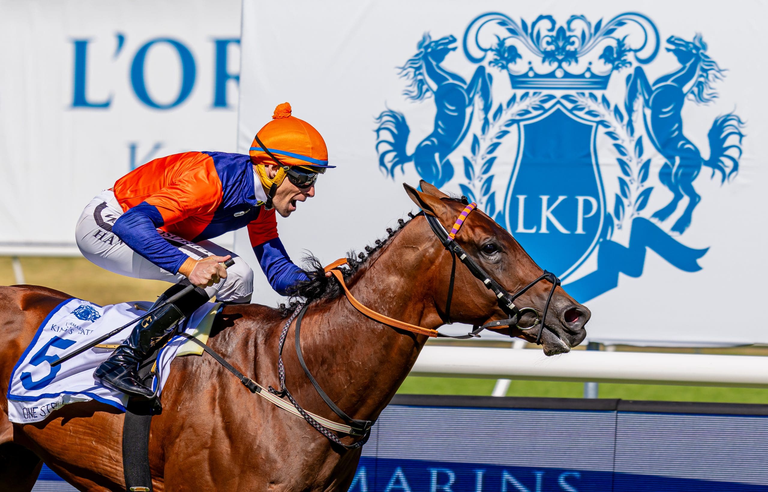 One Stripe Draws Pole Position In Breeders Cup Mile On Turf ...