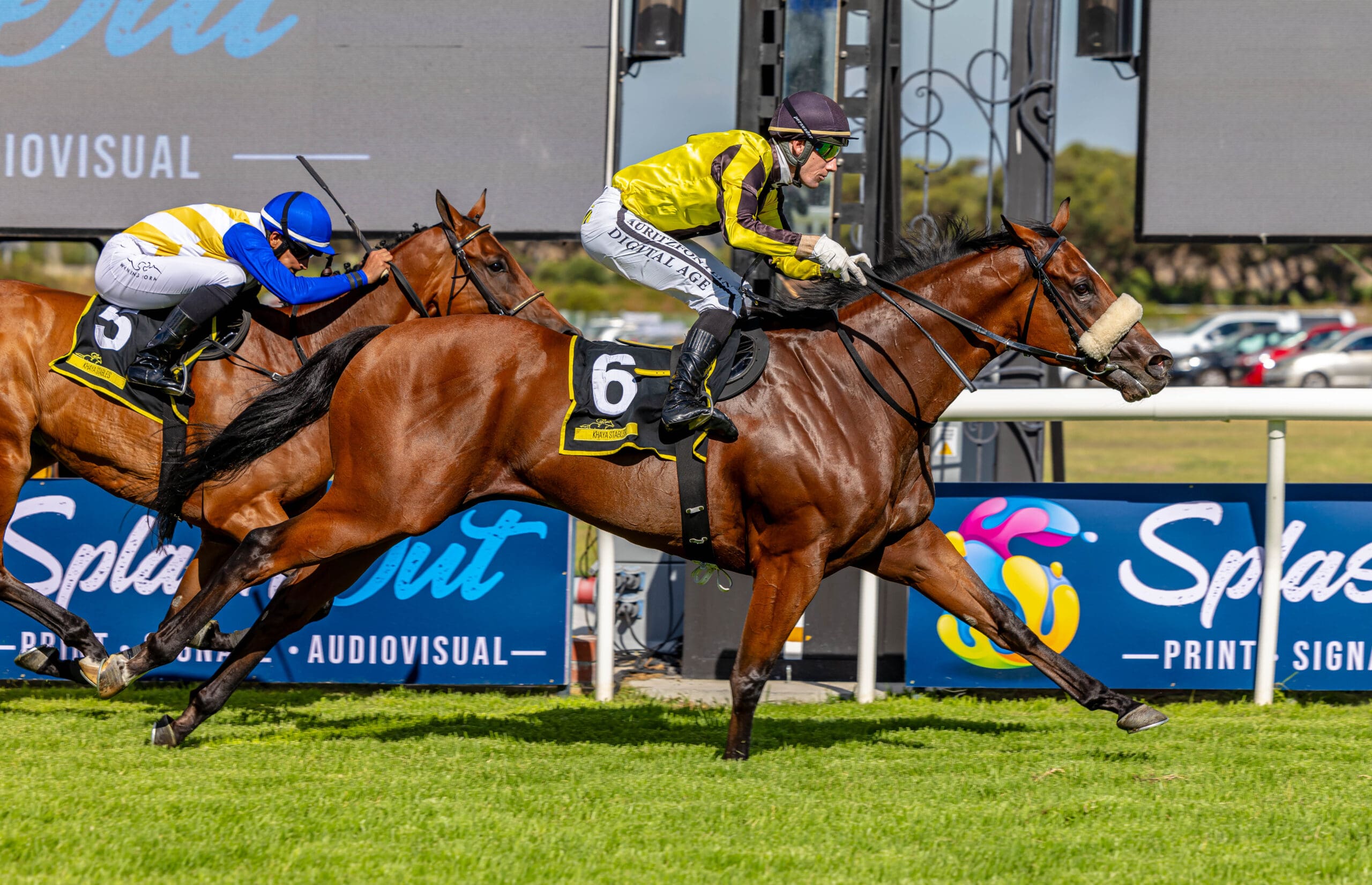 Feature Double For Khaya Stables Broodmare Real Princess - Thoroughbred ...