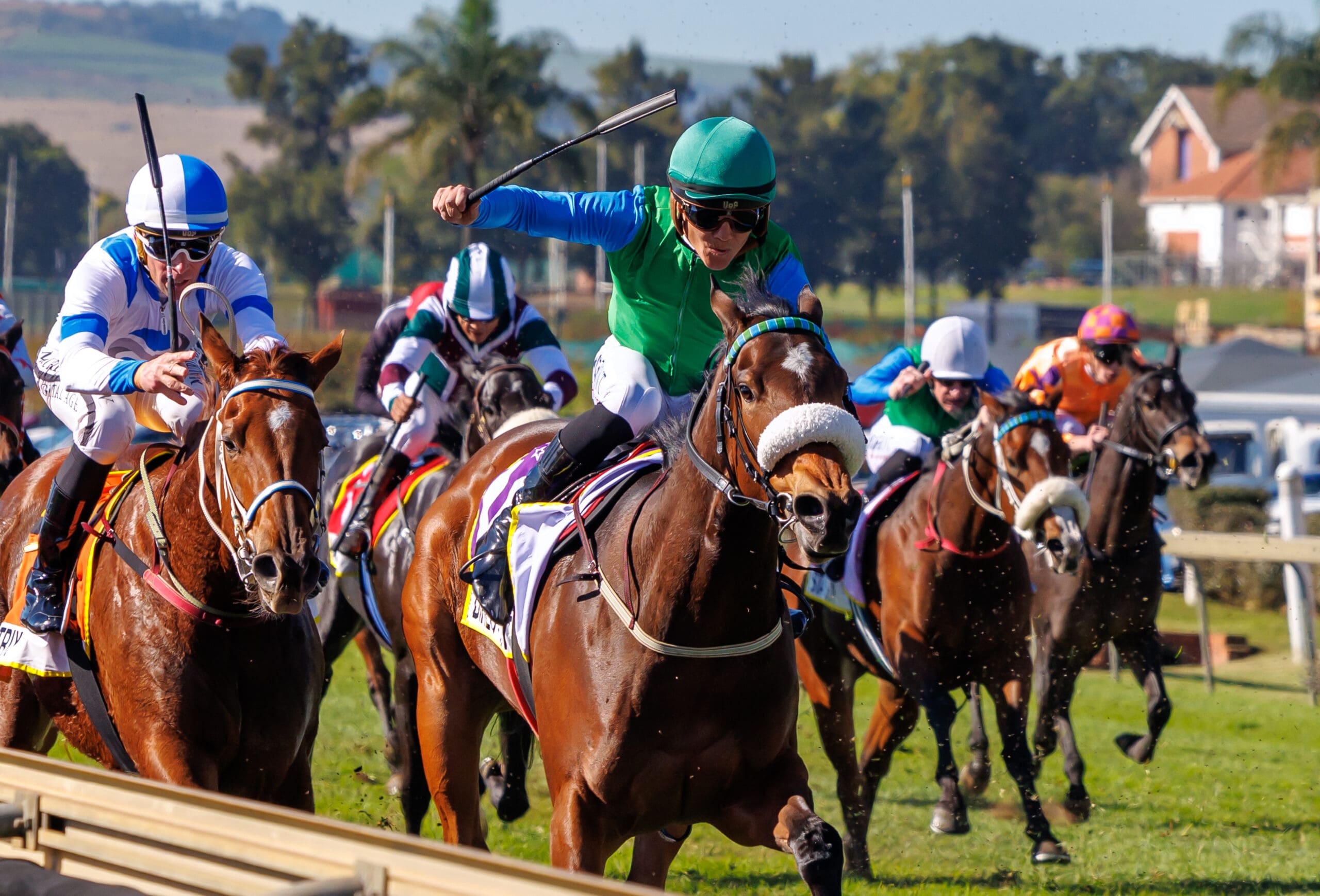 Canford Cliffs: A Stellar Weekend for Ridgemont's Sire - Thoroughbred ...